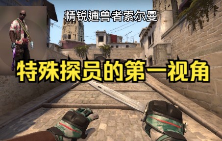 【csgo】一分钟告诉你匪徒可以改变手臂的特殊探员!
