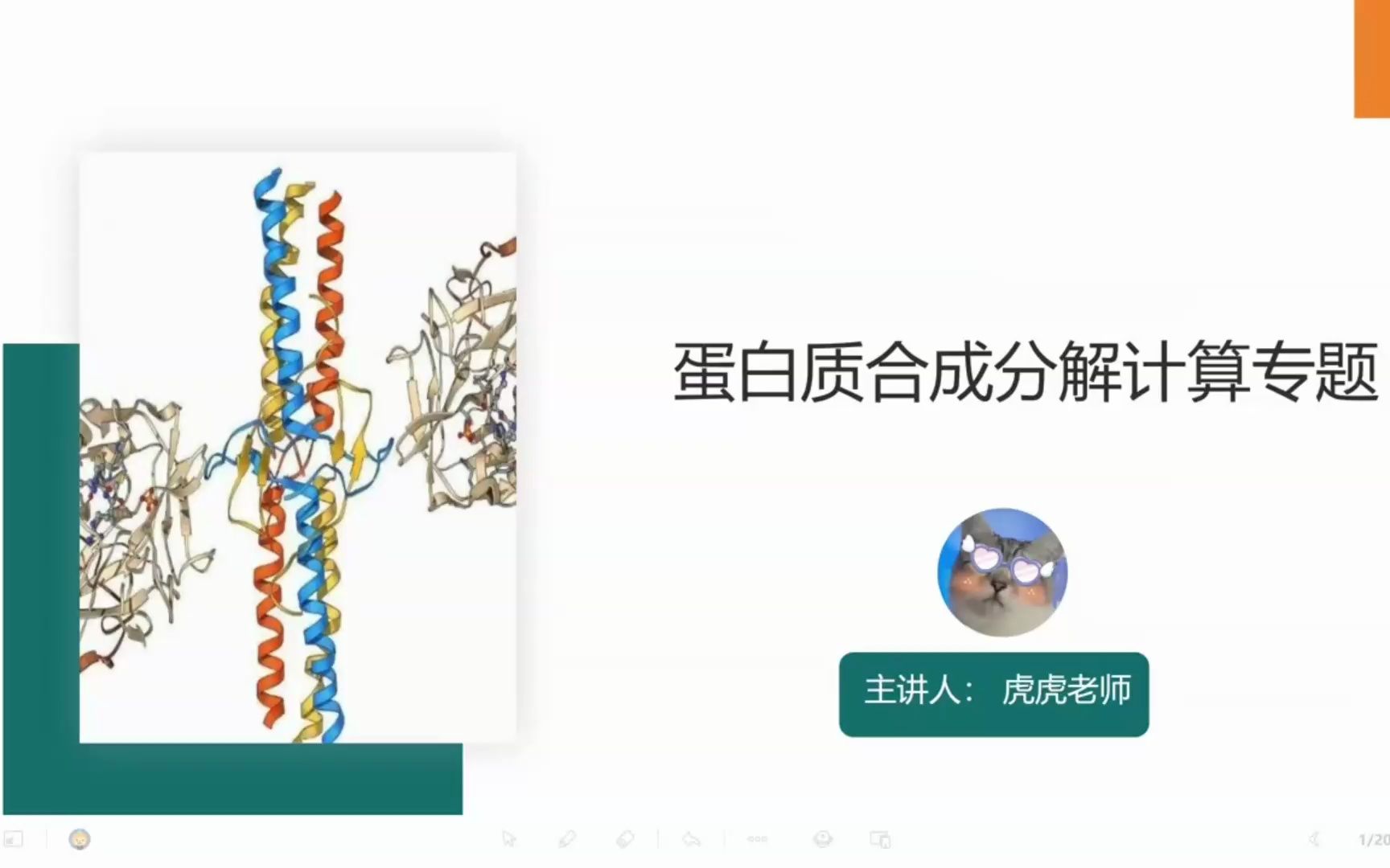 突破!高中生物第一个小难点~蛋白质计算专题