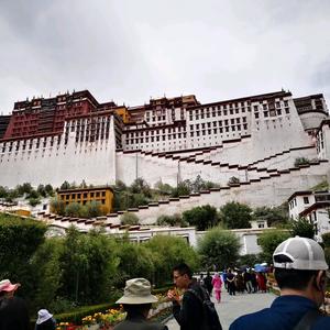 看看景 张 