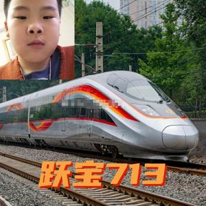 跃宝713 