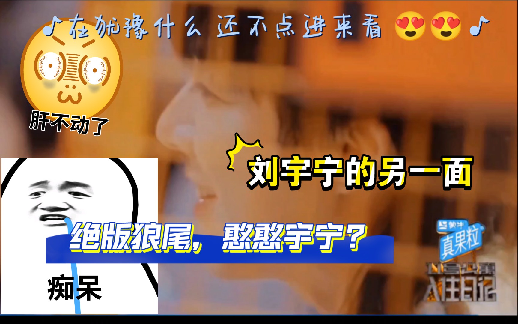 【开始推理吧 刘宇宁】又憨!又奶!且有狼尾!的刘宇宁爱辽爱辽ߘ�ߘ�...