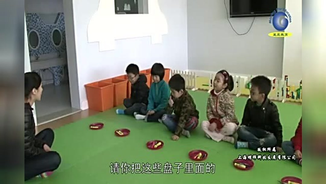 幼儿行为观察与分析科学领域中班数学认知