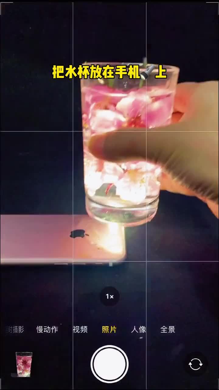春天百花开,花朵摄影技巧学起来,春天花卉照片这么拍就对啦