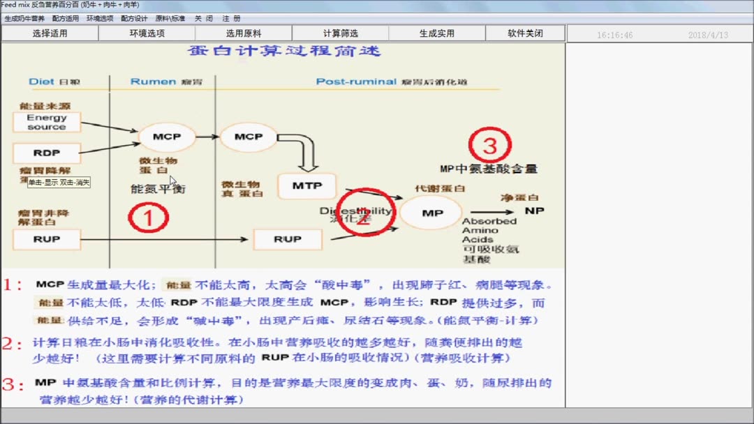 牛羊反刍动物营养基本知识