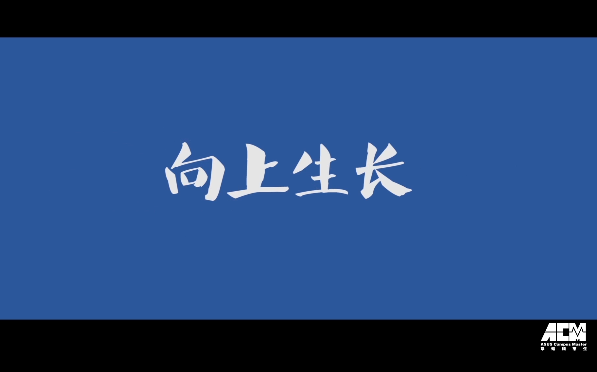 【向上生长】我们的实习生活