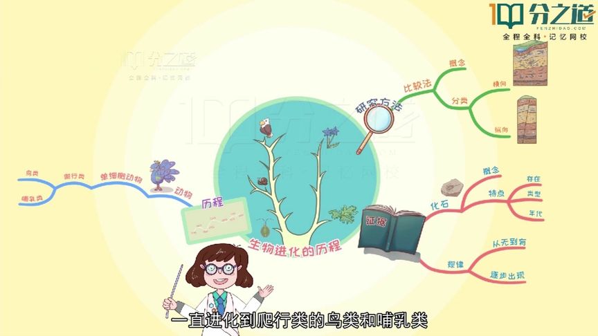 生物八年级——进化的历程