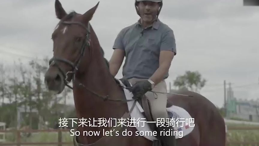 马术基础教学,如何提升马匹快步小跑的动作标准!