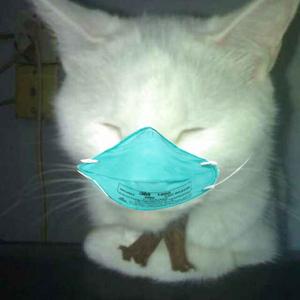qwe的技术研究 