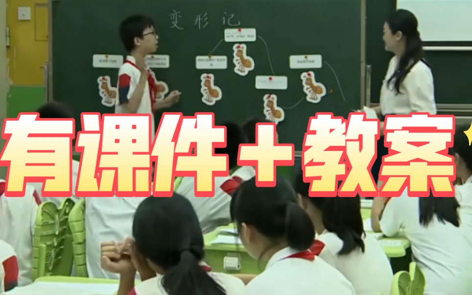 六上习作《变形记》公开课优质课【国赛一等奖】