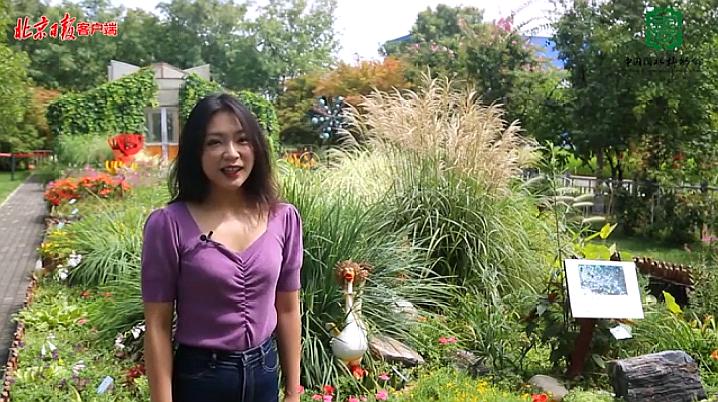 暑期云课堂《园林小讲师》课程之“山山水水尽在掌上微景观”