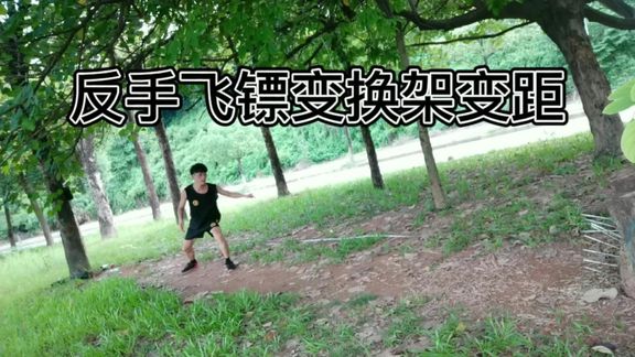 #暗器#功夫#功夫暗器 #暗器飞针 #斗战镖堂少堂主功夫 #飞针