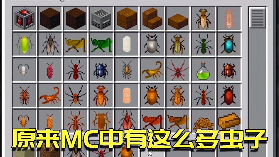 我的世界Mod:泥土里竟然藏着无数昆虫!千万不要再挖土了!