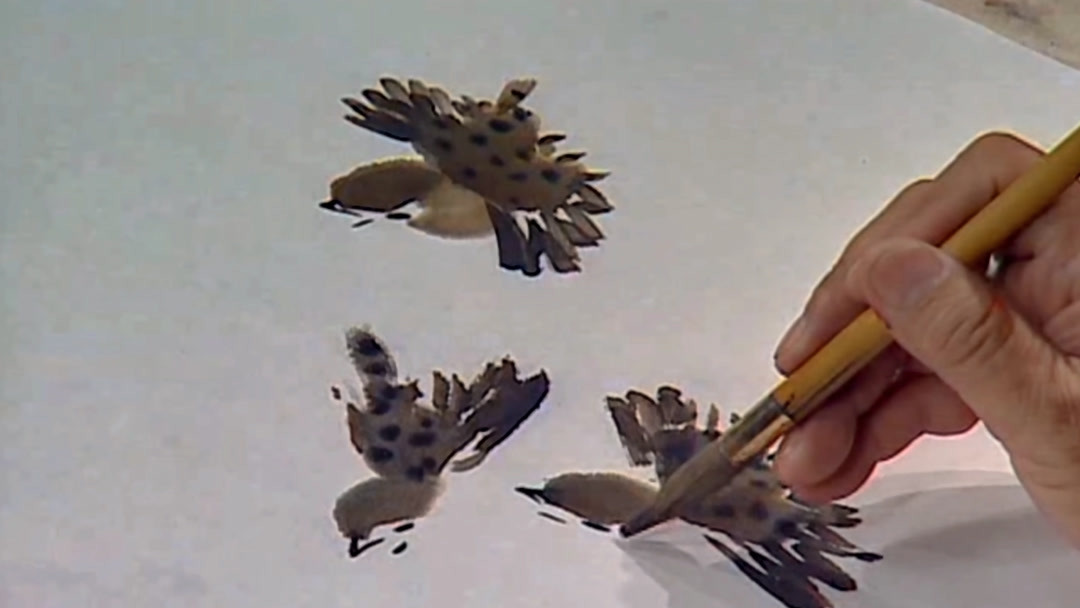 中老年零基础国画入门教学视频,麻雀的画法,老师一步一步教会你