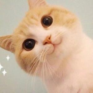 黑丝解忧 