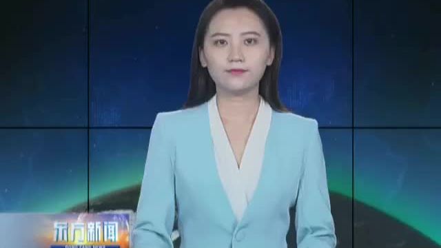 海南台关注东方“两个确保”百日大行动重点项目进展