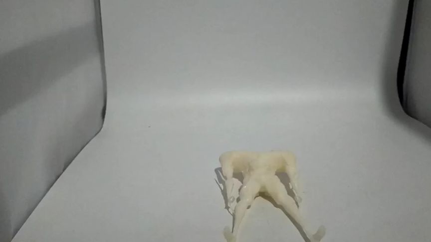 新世纪福音战士Eva#新世纪福音战士#Eva#初号机#动漫#动画#模型