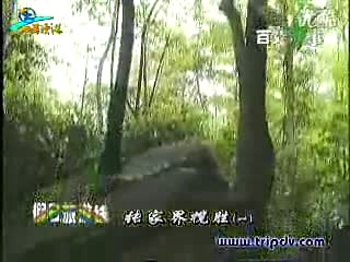 旅游景点之张家界揽胜一