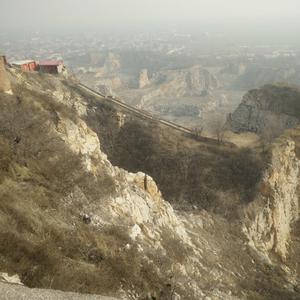 a五星杨桃a 