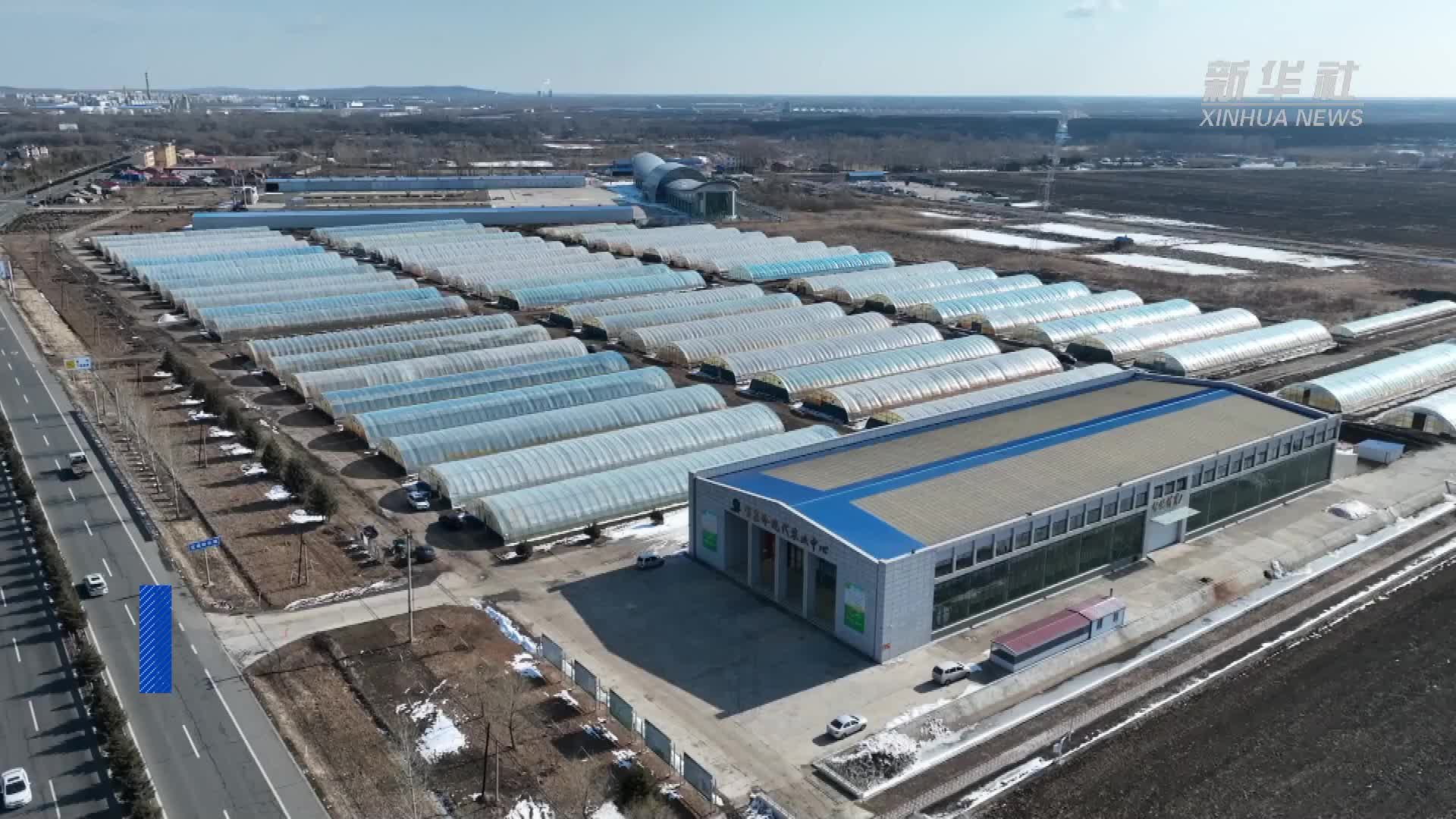 超早育秧技术 助力产粮大省黑龙江水稻播种