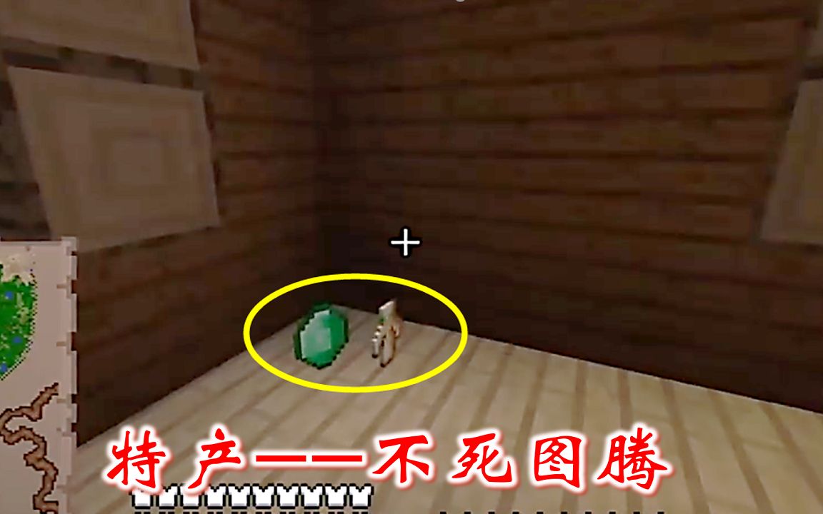 我的世界234:在林地府邸里终于找到了不死图腾,一番战斗还挺辛苦