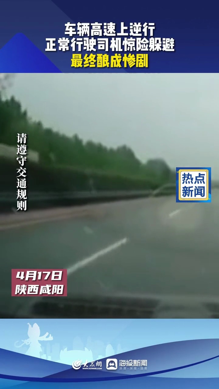 车辆高速上逆行,正常行驶司机惊险躲避,最终酿成惨剧 #你怎么看 #遵守...