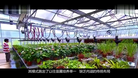 福建省景观园林建筑发展有限公司 宣传视频