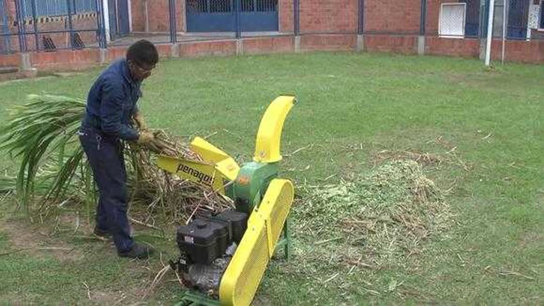 小型粉碎机,效率非常高,适合农民养殖户
