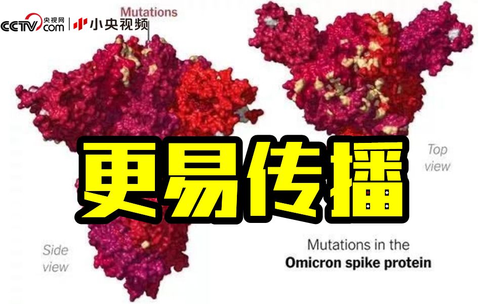 奥密克戎或含有感冒病毒基因片段