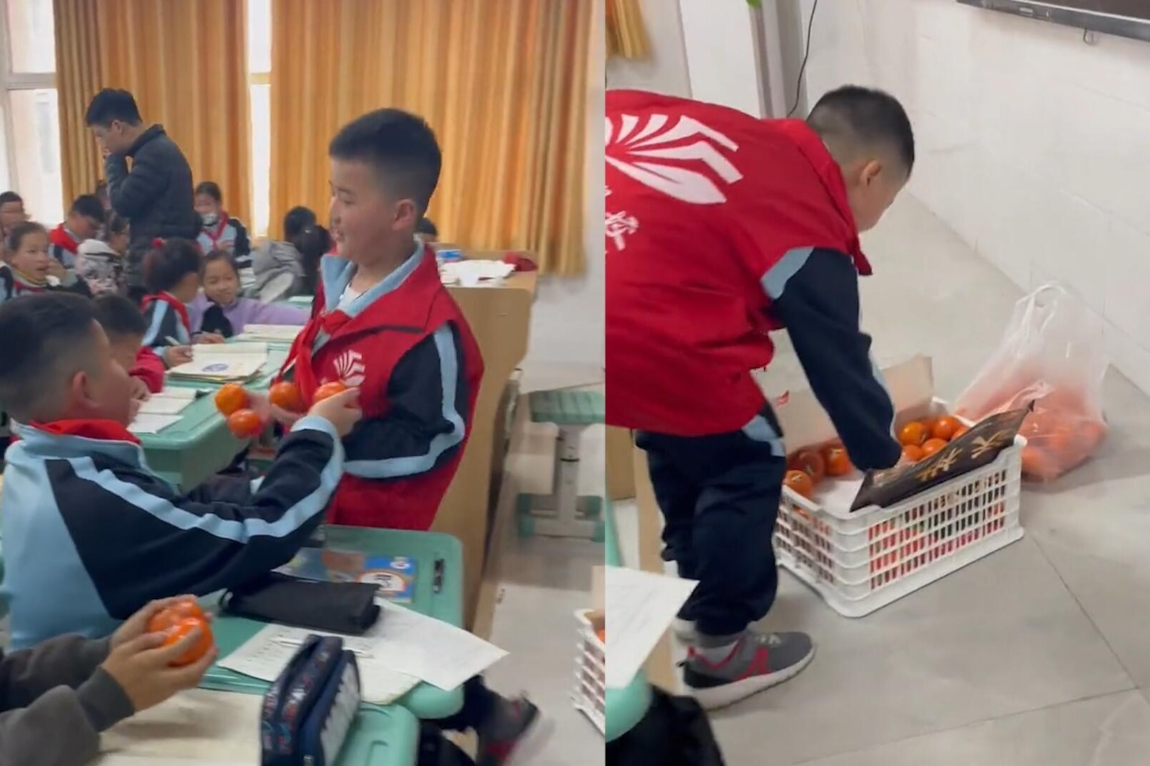 男孩取得好成绩,拒绝现金奖励索要100个沃柑,原因令全网怒赞
