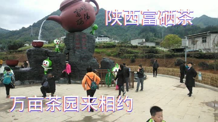 陕西富硒茶相约万亩茶园#我是Vlogger