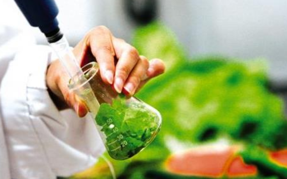 夏都食安行 带您揭秘食品检测全流程