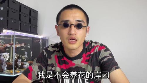 鱼缸滴流盒过滤的拓展性非常的强