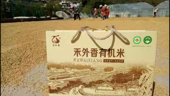 今天尝试第二次直播,调试使用声卡