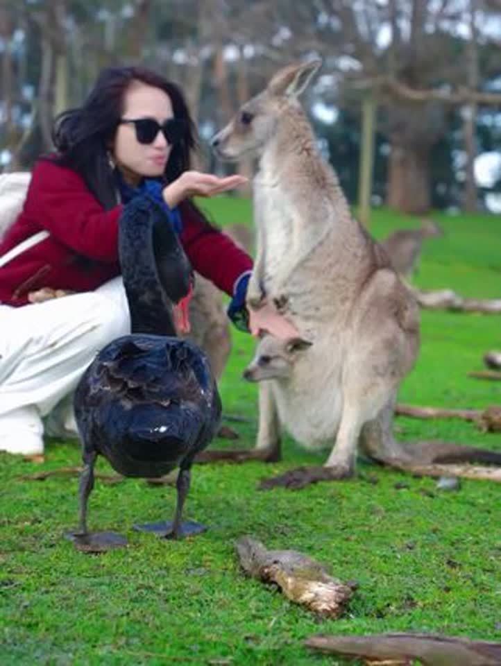 ...不知道从什么时候开始,我已经不再做任何负面情绪的表达,因为我知道...