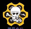 随风电玩csgo 