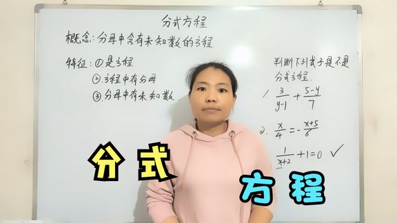 简单一课 第216期 分式方程 杨老师精品课程