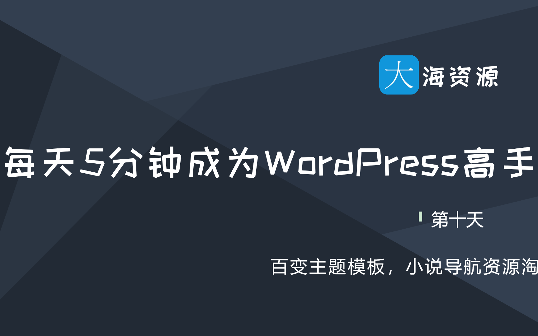 【每天5分钟成为wordpress高手】10.想建导航站淘客站小说站,百变的...