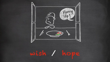 Wish 和 Hope 作为名词的不同用法 [进阶篇][名词]