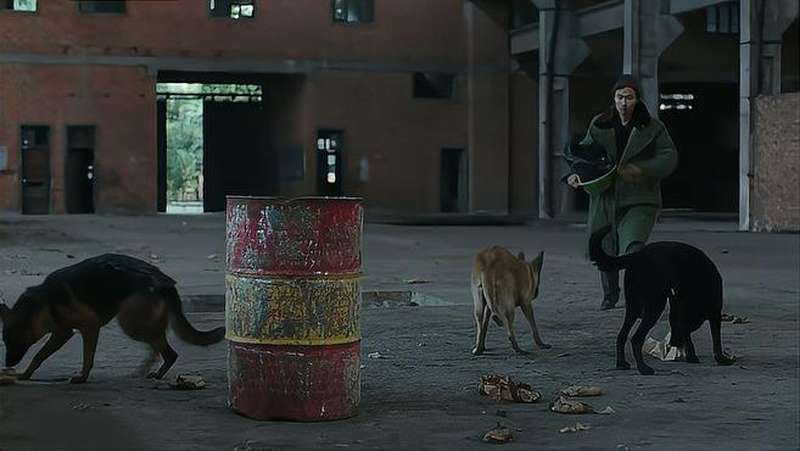 法医秦明2:三轮车男人扔食,引流浪狗抢食,近看竟是人体碎尸