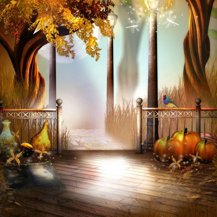 小龙的日常生活 