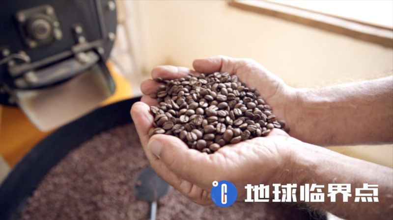 咖啡正被谋杀!2050年全球咖啡产地消失一半,咖啡恐成奢侈品