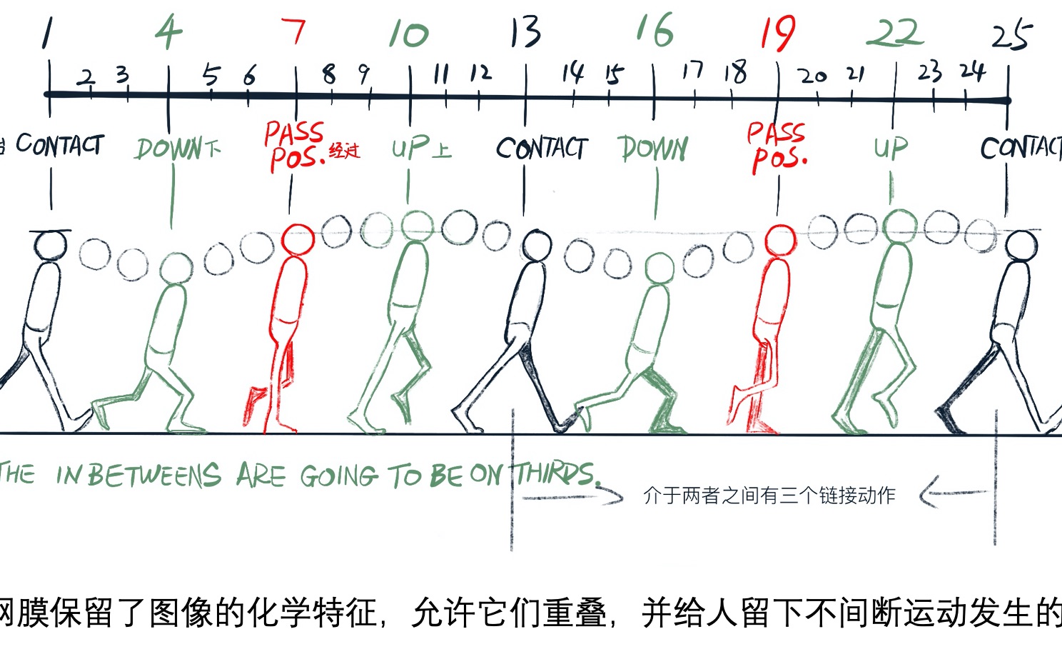 创意绘画启智2-2动画片为什么好看?