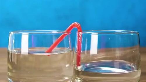 这是一个超有趣的小实验,看完第一个我就心动了,我先去试试了