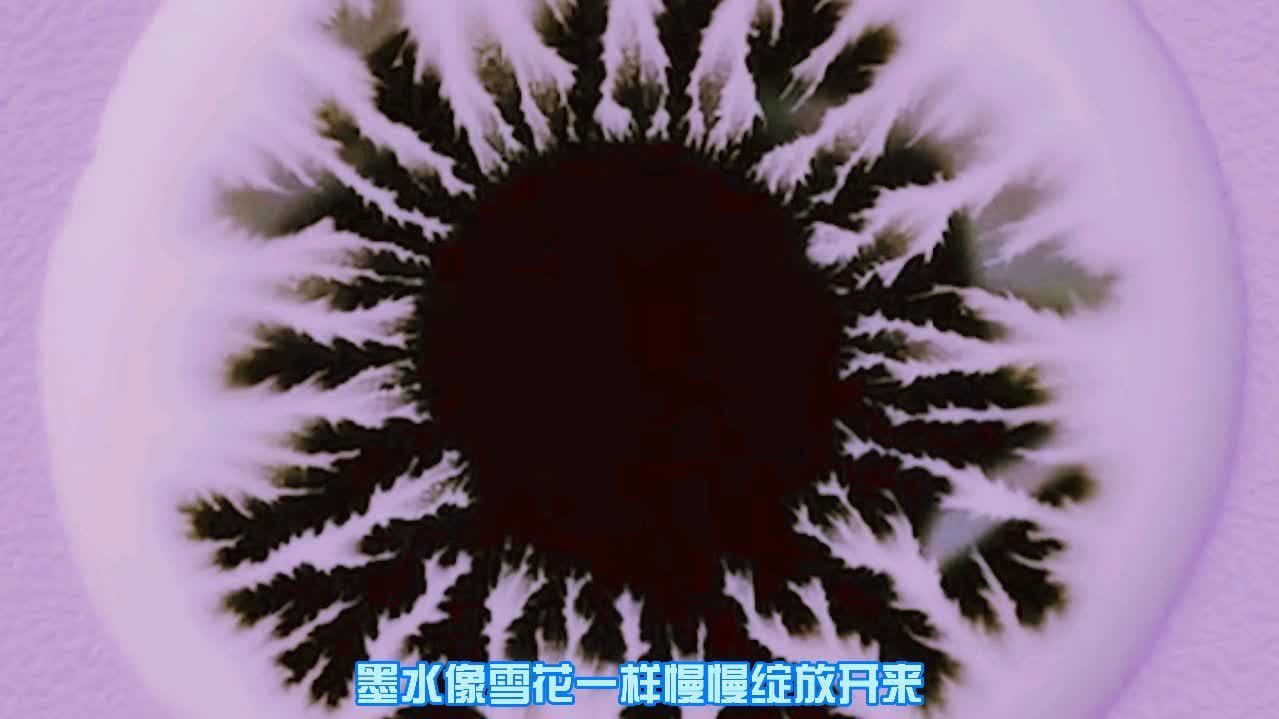 4个有趣的科学小实验在家也能玩