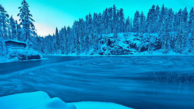 南极和北极环境区别大了,白天和黑夜各持续半年