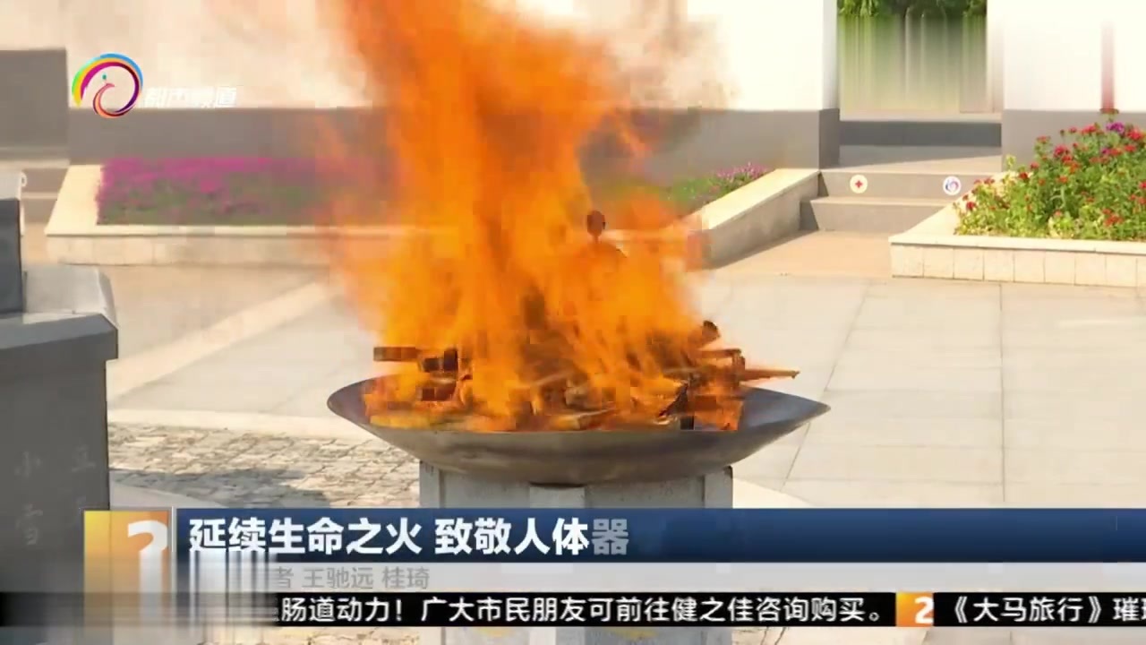 延续生命之火致敬人体器官和遗体捐献者