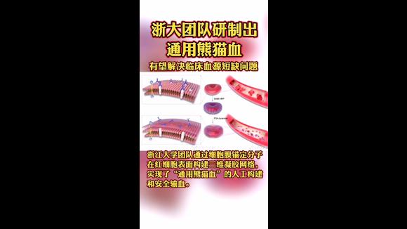 浙大团队研制出通用“熊猫血” ,熊猫血型不怕没血用了