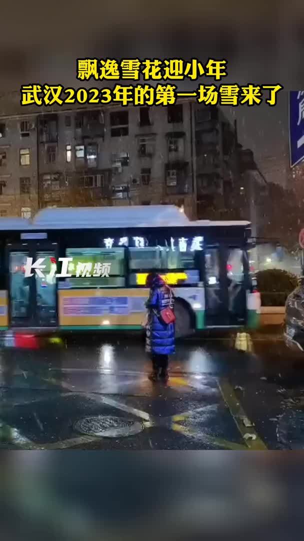 飘逸雪花迎小年 武汉2023年的第一场雪来了