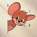 只服小今今 