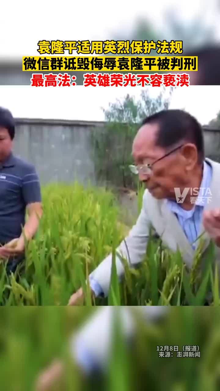 微信群诋毁侮辱袁隆平院士被判刑